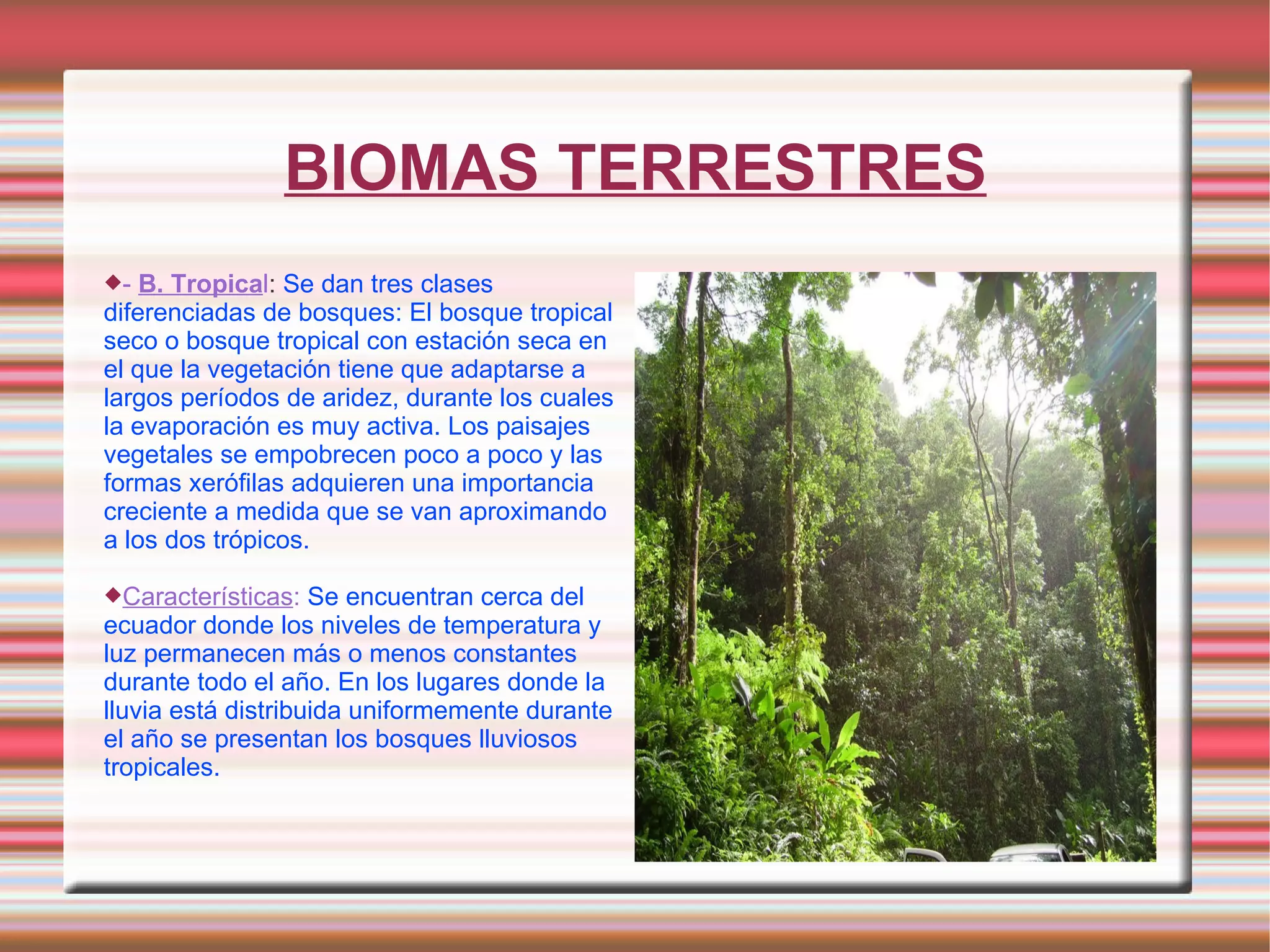 Ecosistemas | ODP