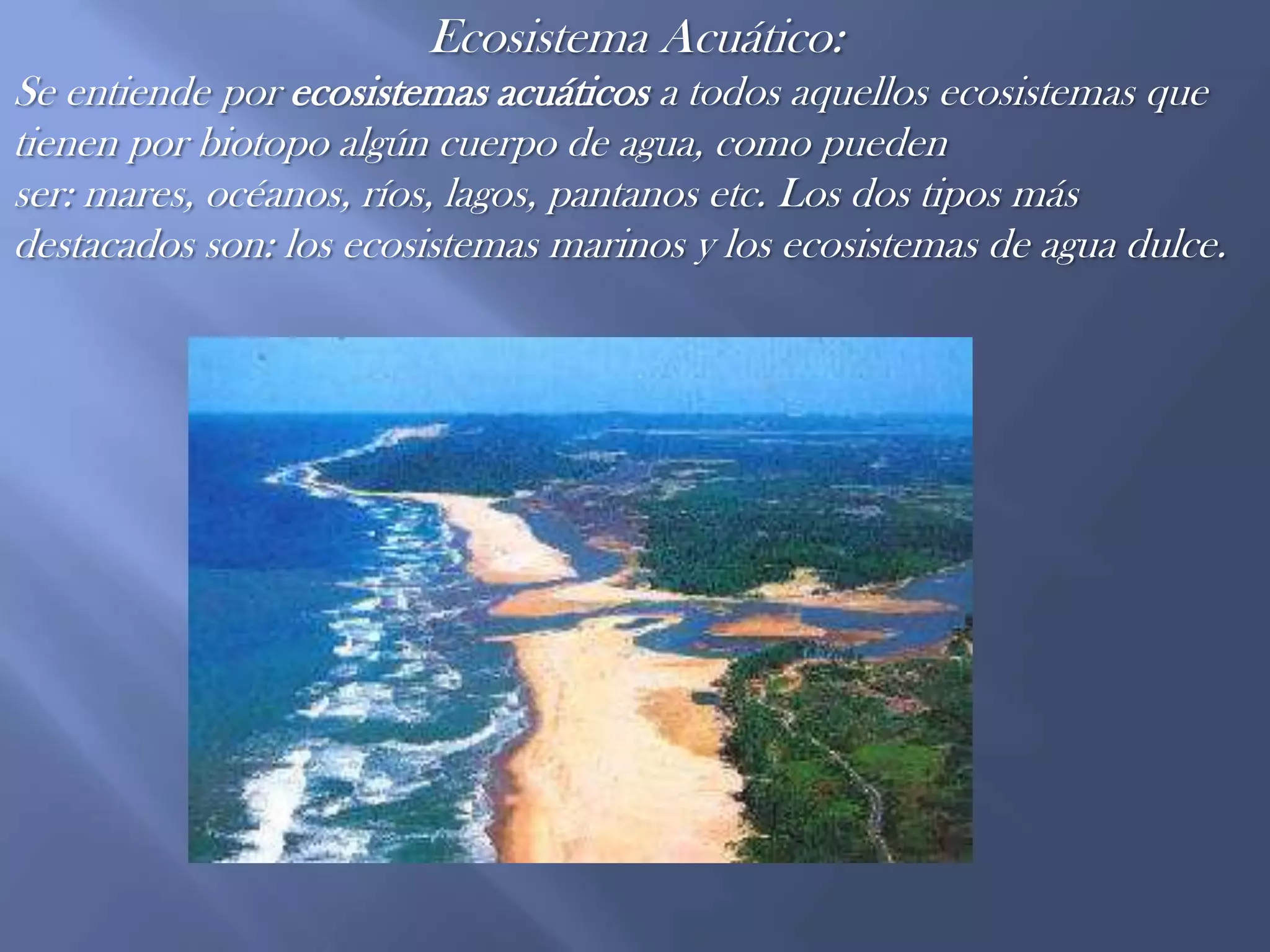 Ecosistemas | PPTX