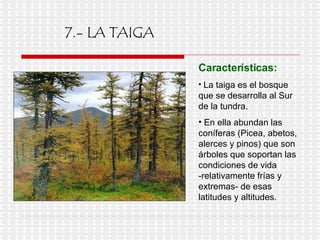 Ecosistemas | PPS