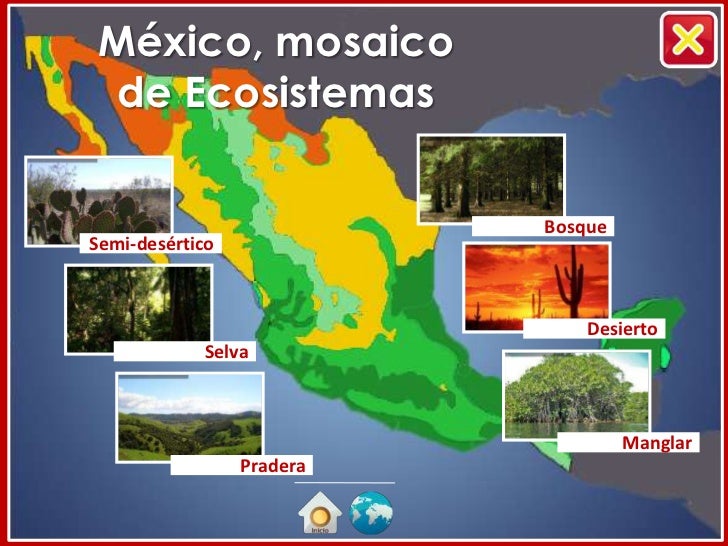 Diferentes Ecosistemas De Mexico - abstractor