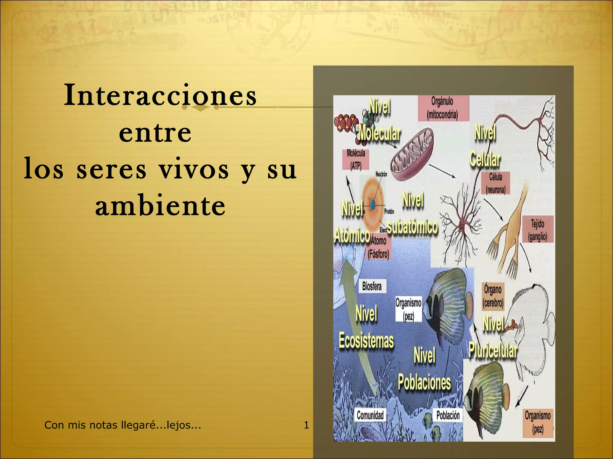 Ecosistemas | PPT