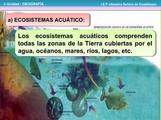 Ecosistemas | PPT