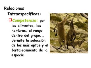 Ecosistemas | PPT