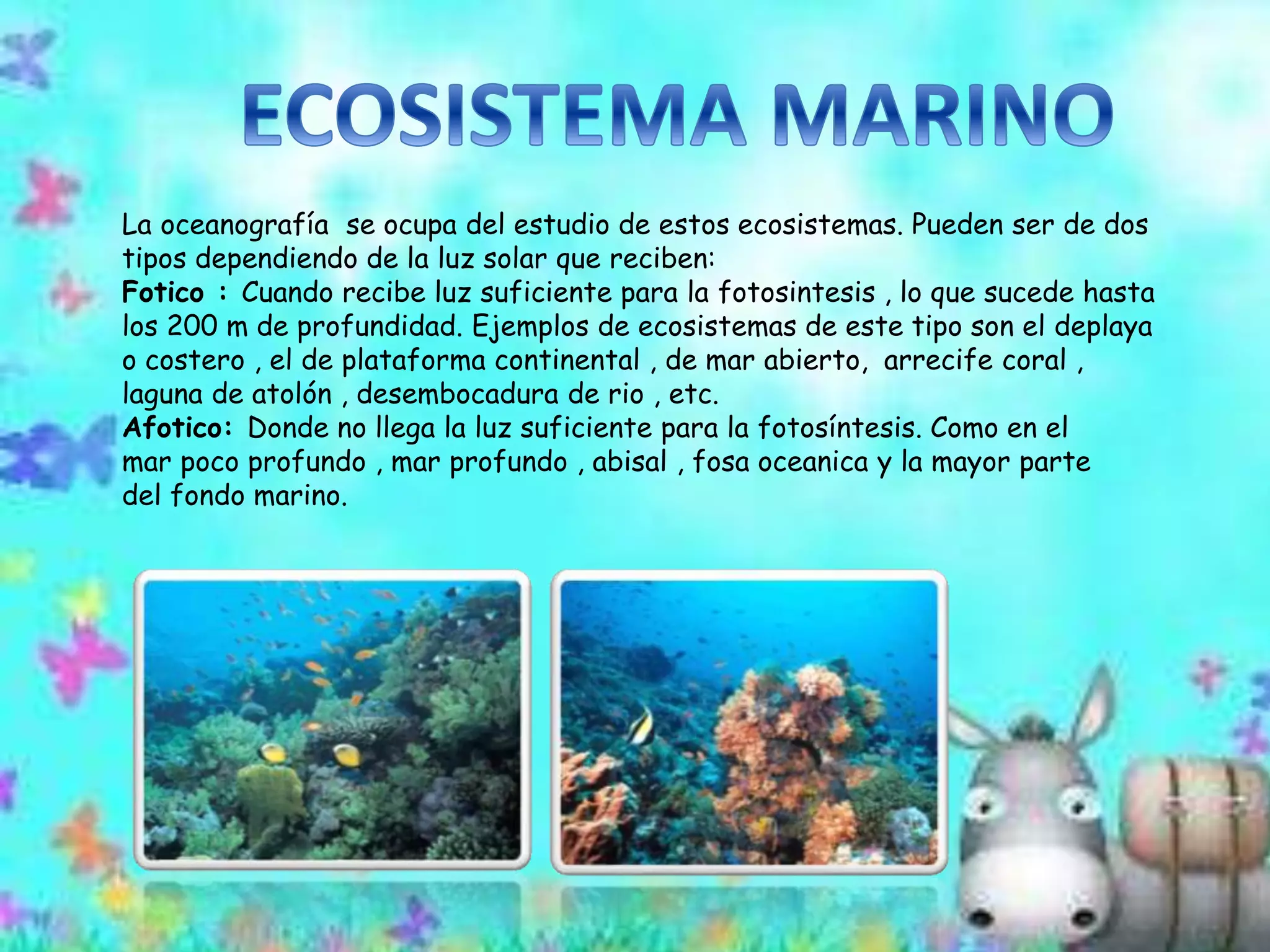 Ecosistemas | PPTX | Geography | Science