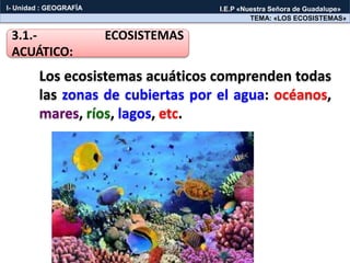 Ecosistemas | PPTX
