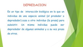 Ecosistemas | PPTX