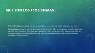 Ecosistemas | PPTX