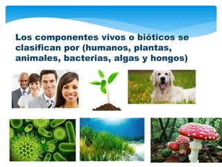 ecosistemas .pptx