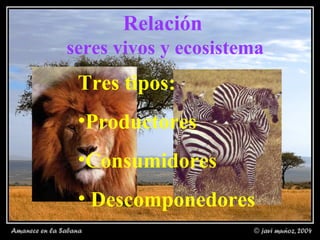 Ecosistemas06 (1) | PPT