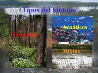 Ecosistemas06 (1) | PPT