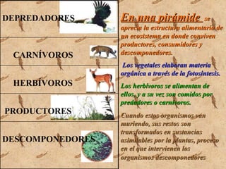 Ecosistemas2 | PPT