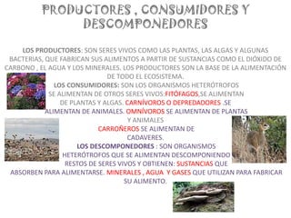 Ecosistemas Andra Artero | PPTX