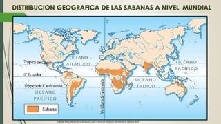 Ecosistema sabana | PPTX
