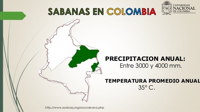 Ecosistema sabana