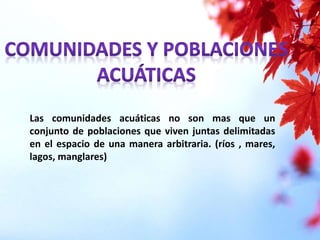 Ecosistemas acuaticos | PPTX