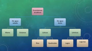 Ecosistemas acuáticos.pptx
