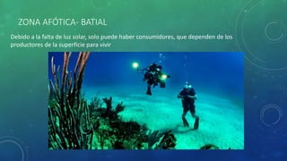 Ecosistemas acuáticos.pptx