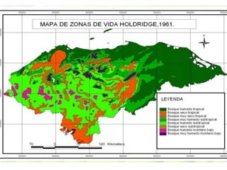 Ecosistemas de honduras | PPTX