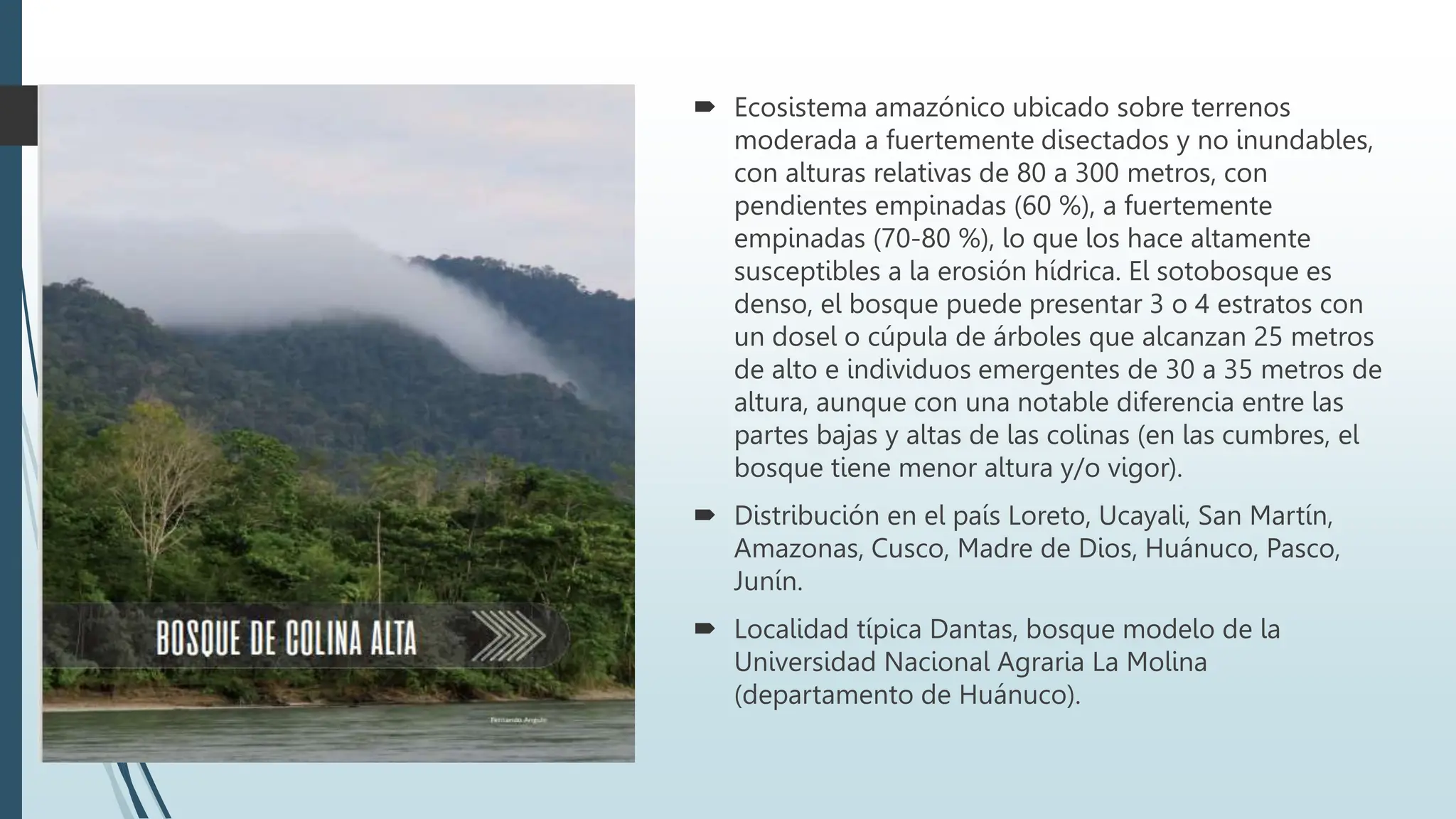 Ecosistemas de la región selva tropical.pptx