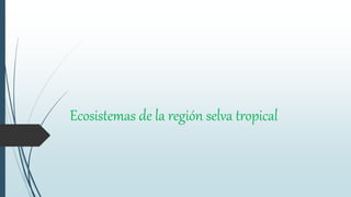 Ecosistemas de la región selva tropical.pptx