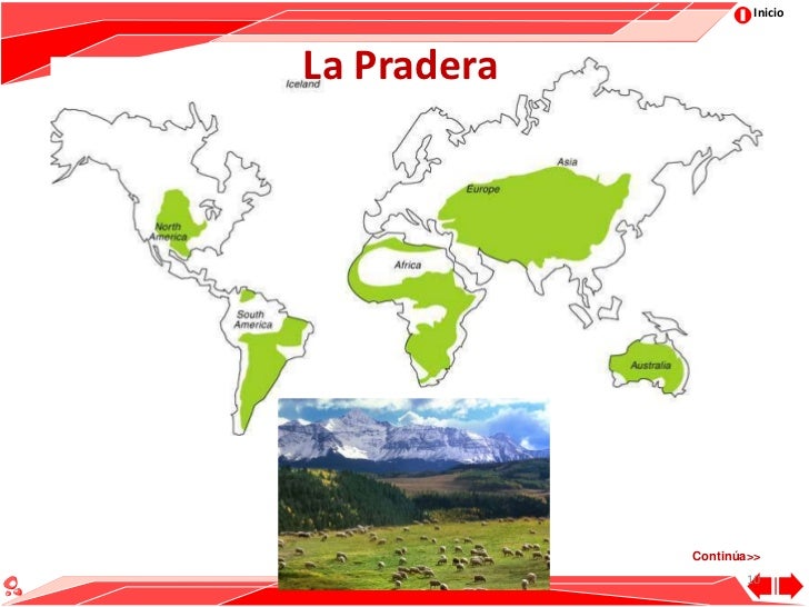 Ecosistemas del mundo