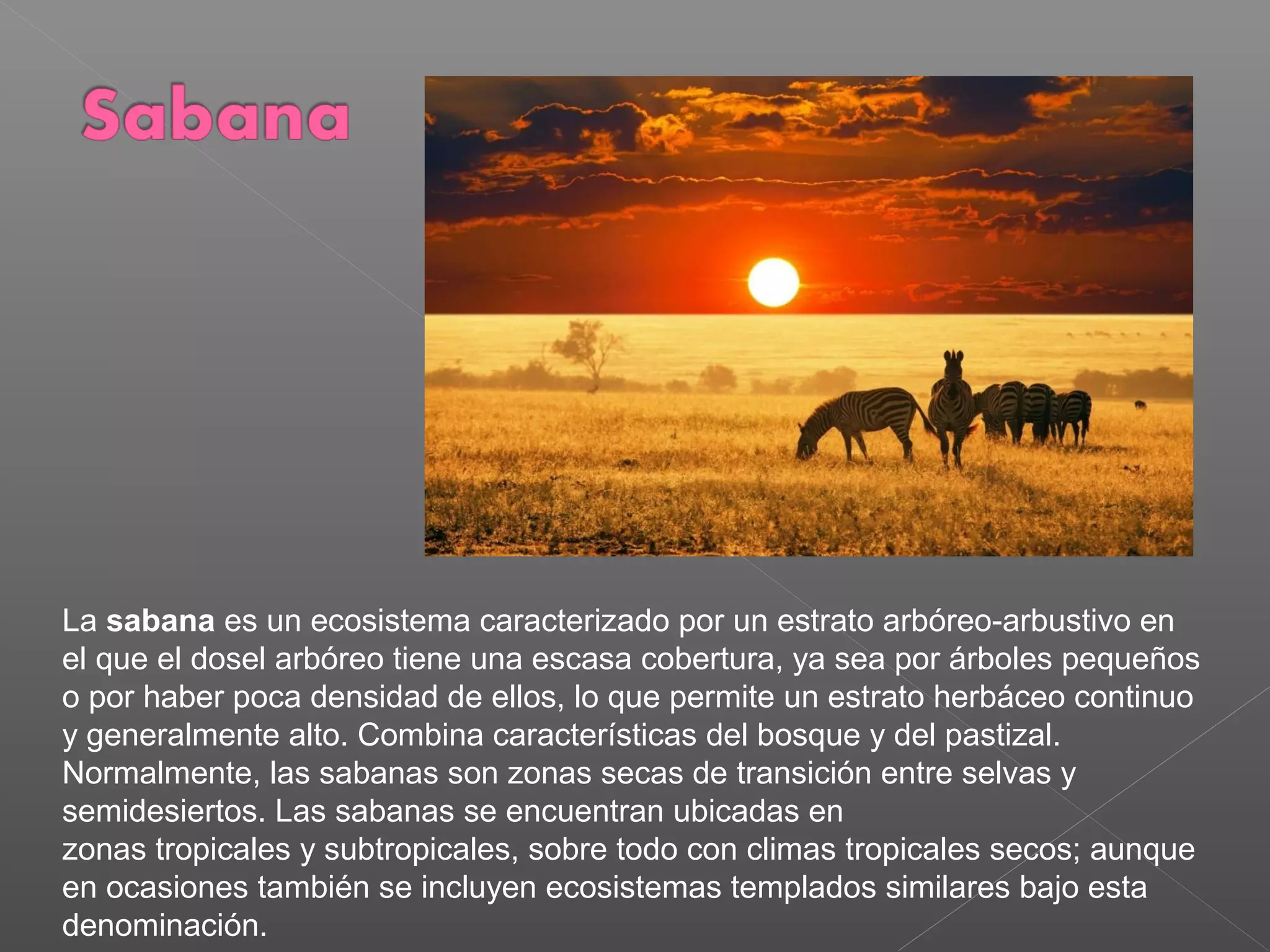 Ecosistemas del polo al ecuador david matias | PPT