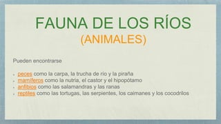 Ecosistemas de rios | PPTX