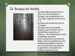 Ecosistemas de México | PPTX