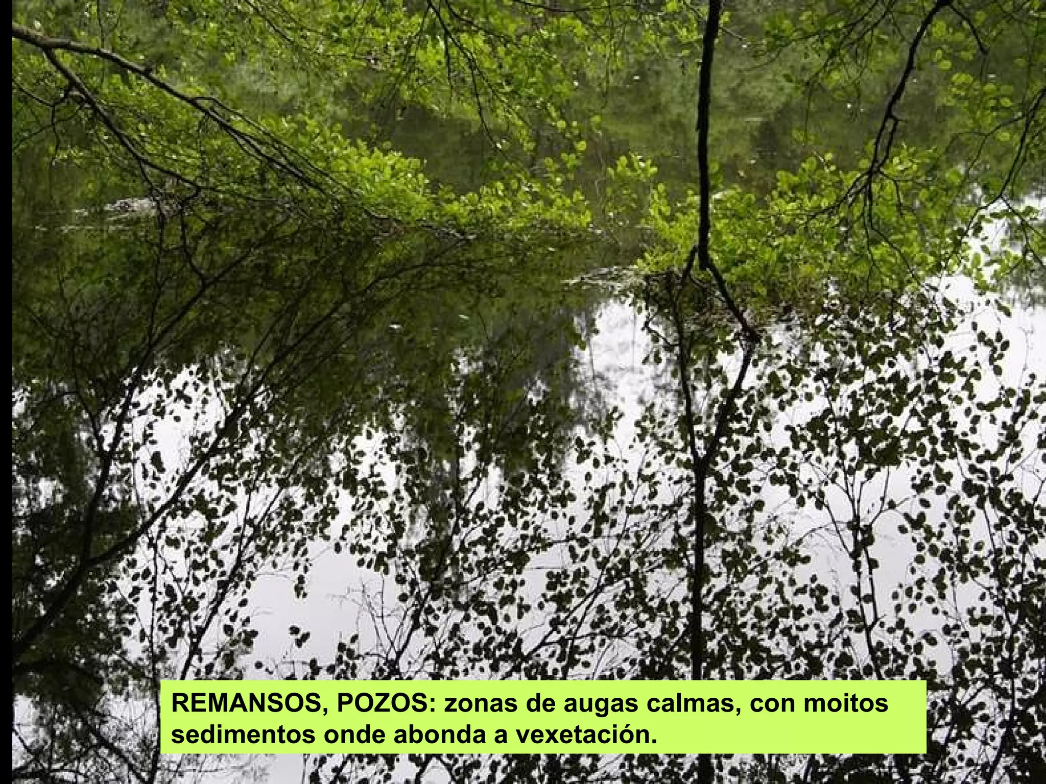 Ecosistemas galegos | PPS