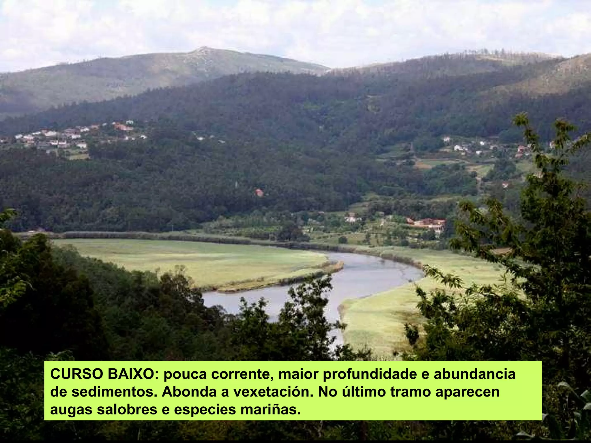 Ecosistemas galegos | PPS