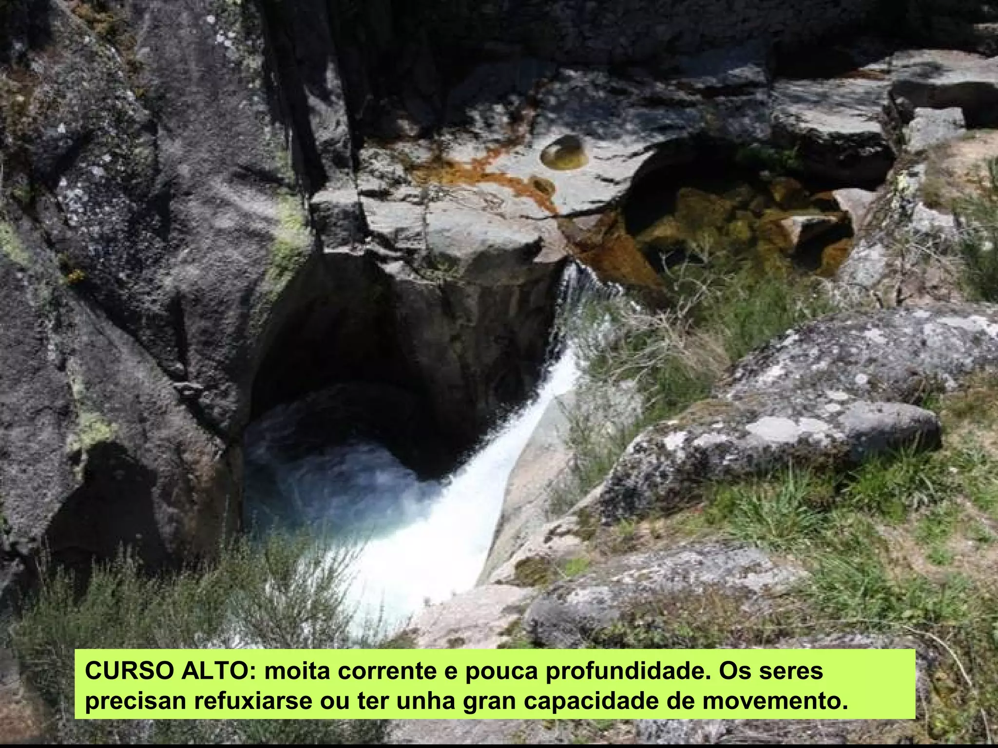 Ecosistemas galegos[1] | ODP