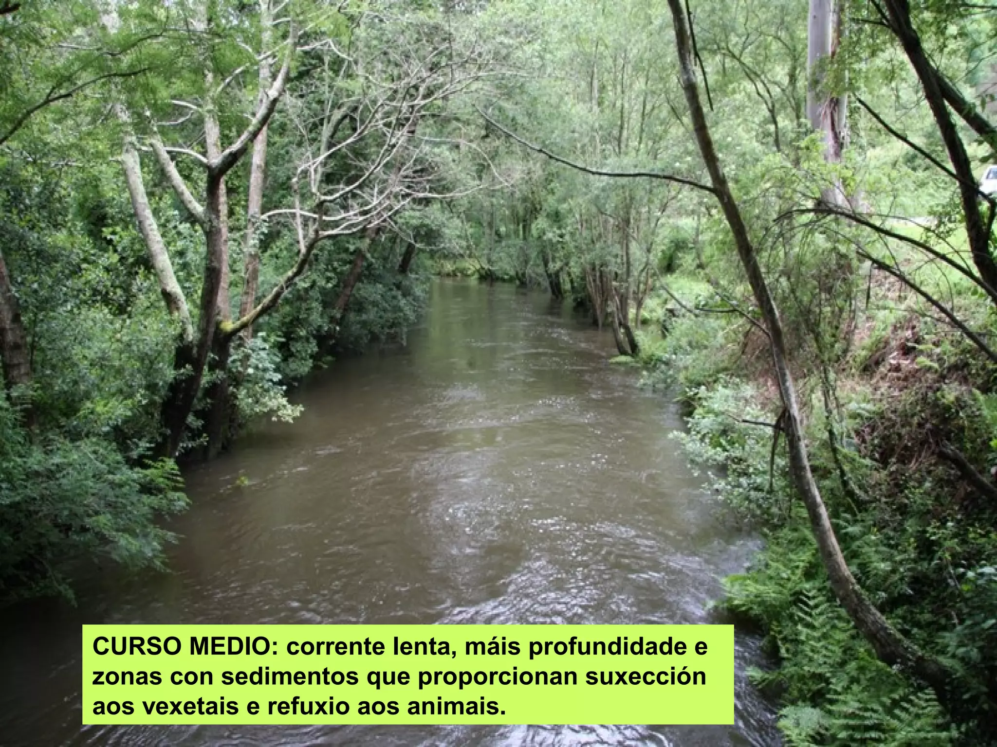 Ecosistemas galegos[1] | ODP