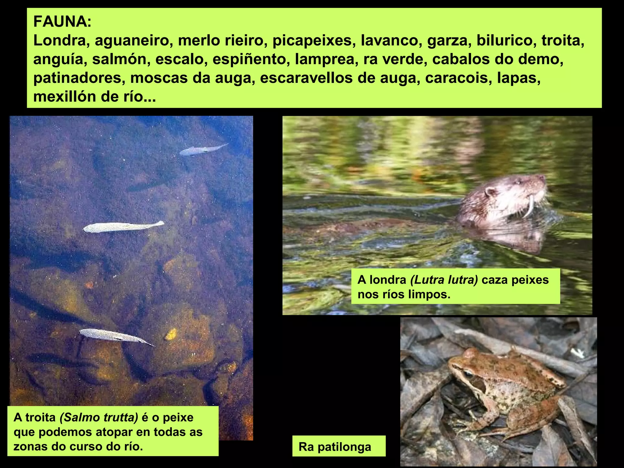 Ecosistemas galegos[1] | ODP