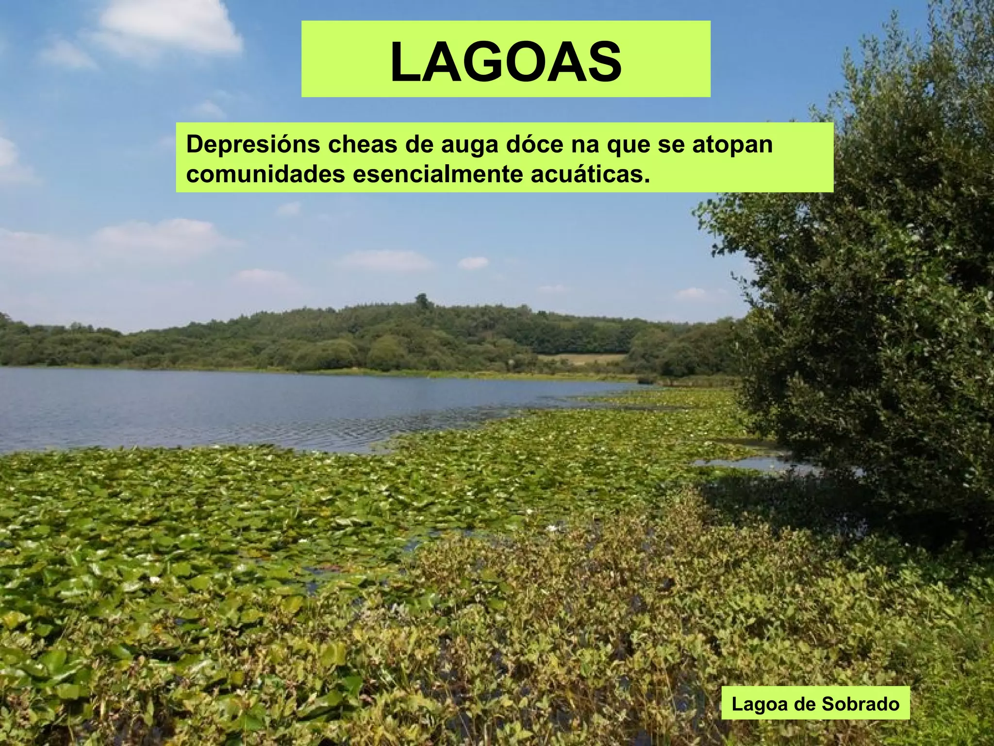 Ecosistemas galegos[1] | ODP