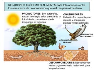 Ecosistemas ii | PPT