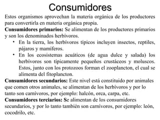 Ecosistemas ii | PPT