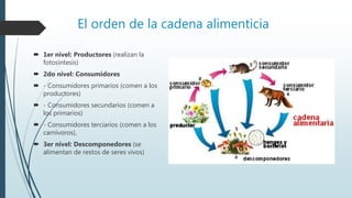 Que es un Ecosistema | PPTX
