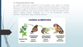 Que es un Ecosistema | PPTX