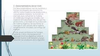 Que es un Ecosistema | PPTX