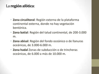 Ecosistemas marinos..postgrado | PPTX