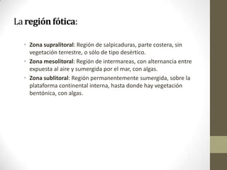 Ecosistemas marinos..postgrado | PPTX