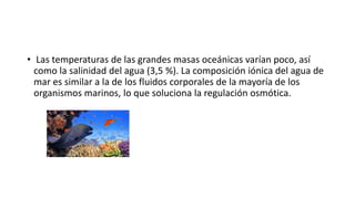 Ecosistemas marinos | PPTX