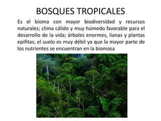 Ecosistemas o biomas como zonas de vida | PDF