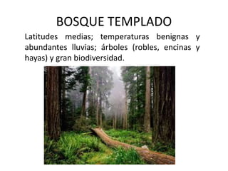 Ecosistemas o biomas como zonas de vida | PDF
