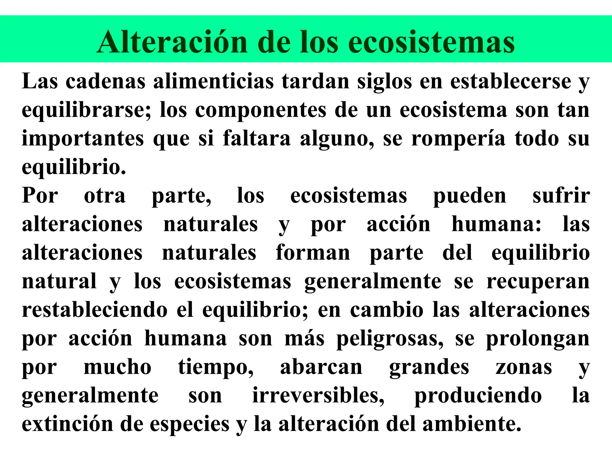 Ecosistemas y sus componentes basicos.ppt