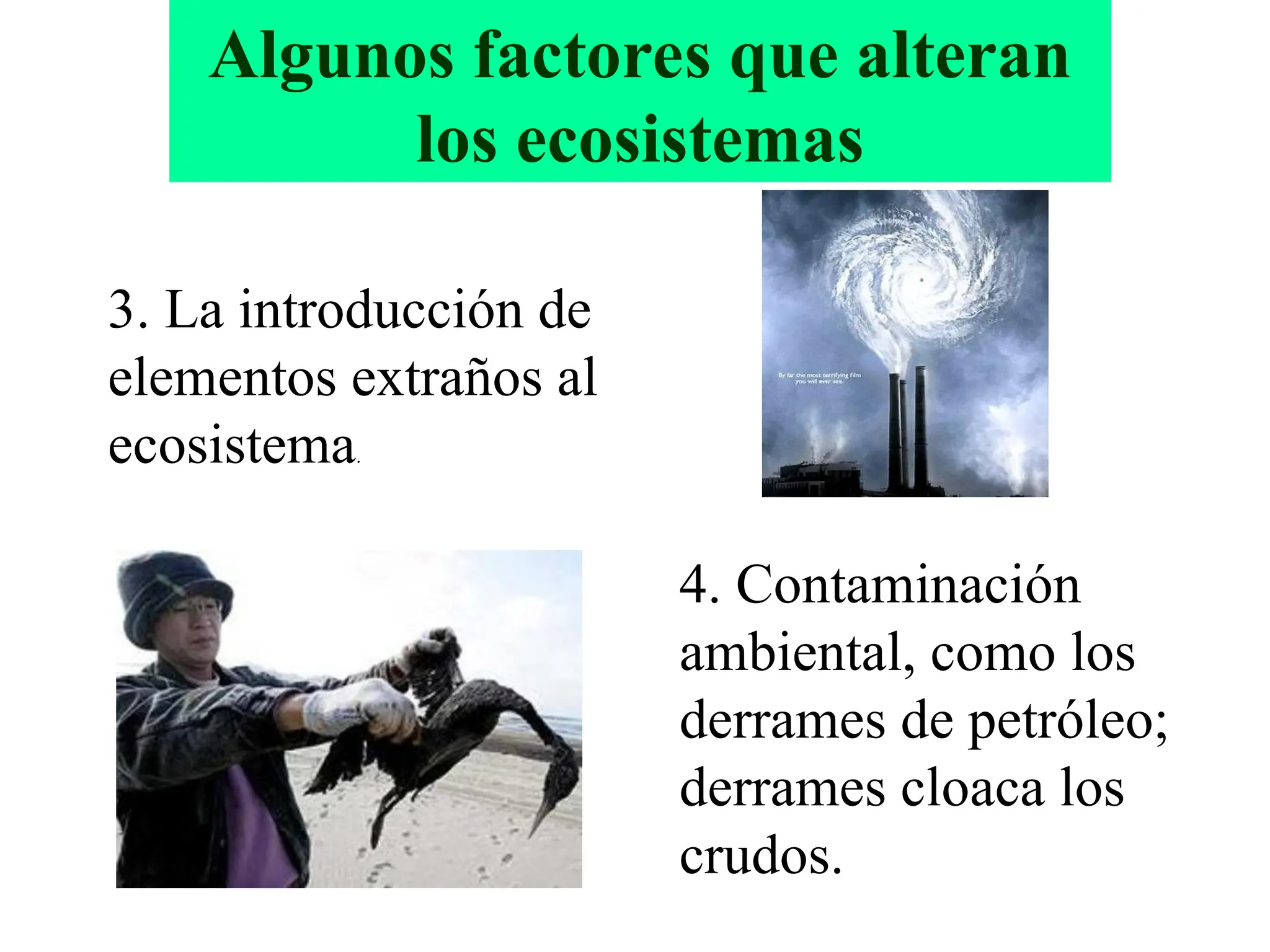 Ecosistemas y sus componentes basicos.ppt
