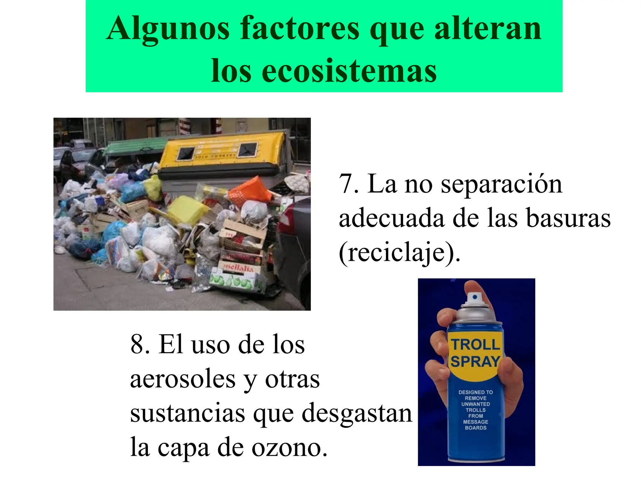 Ecosistemas y sus componentes basicos.ppt