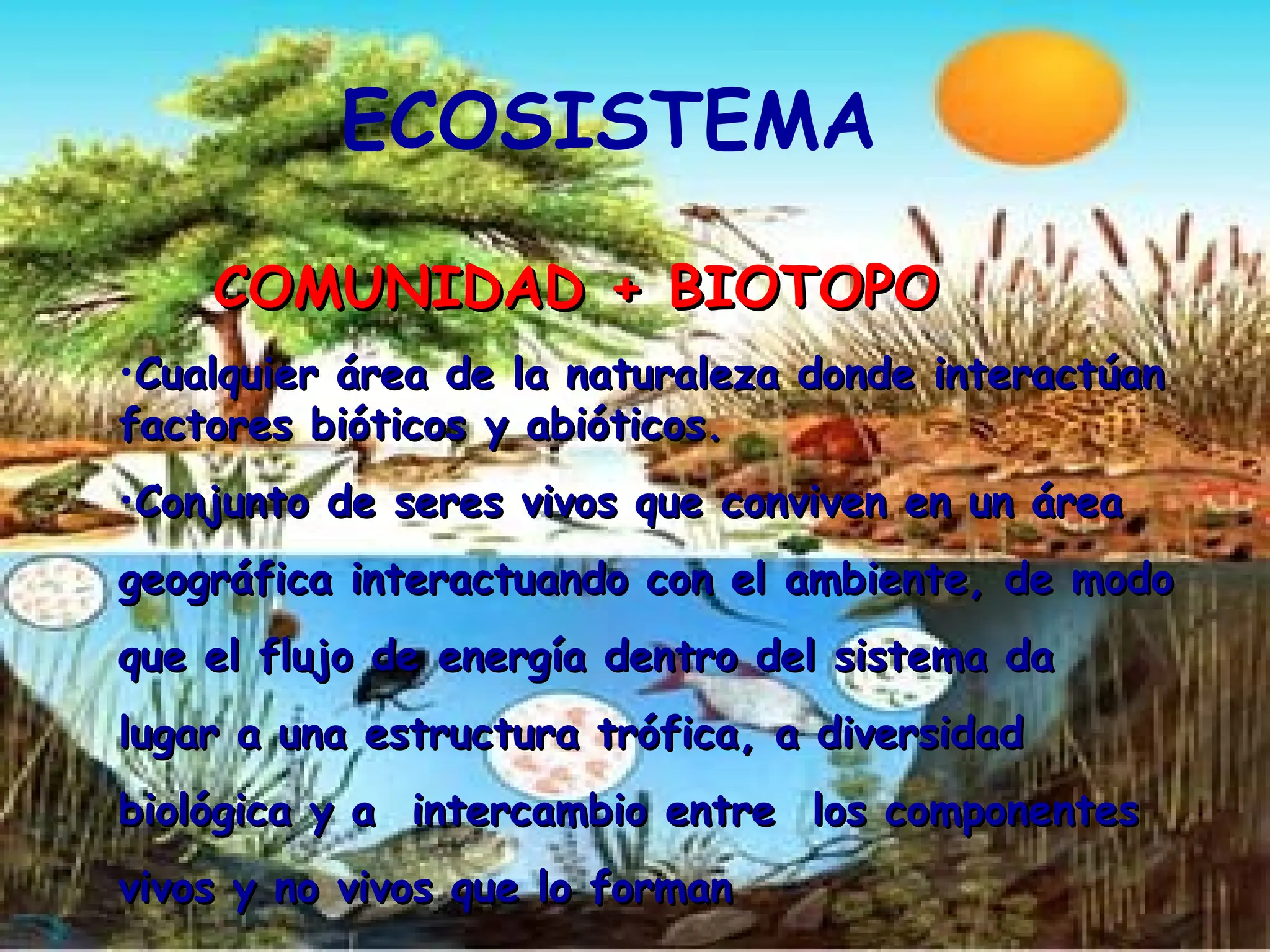 Ecosistemas y sus componentes basicos.ppt