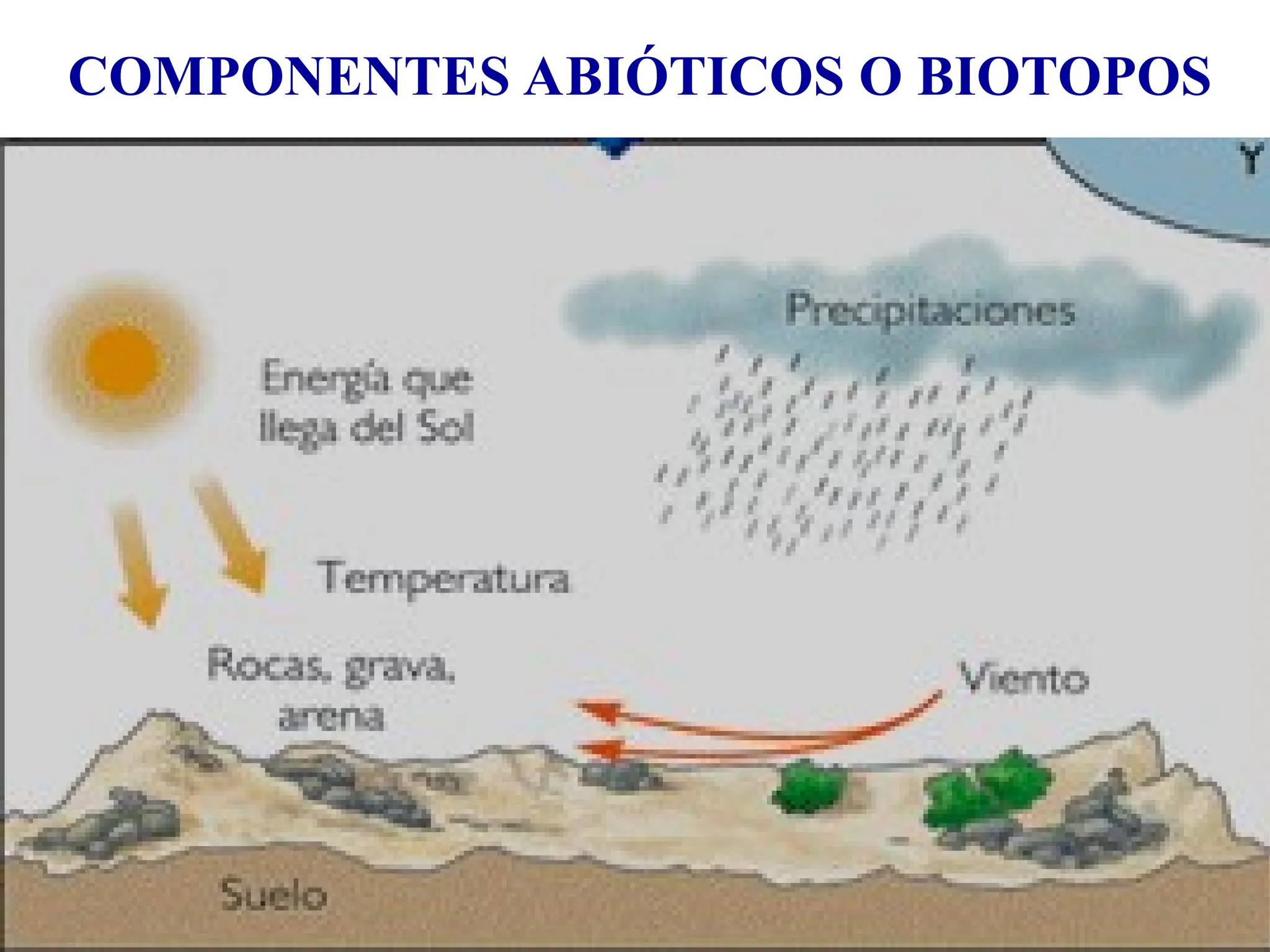 Ecosistemas y sus componentes basicos.ppt