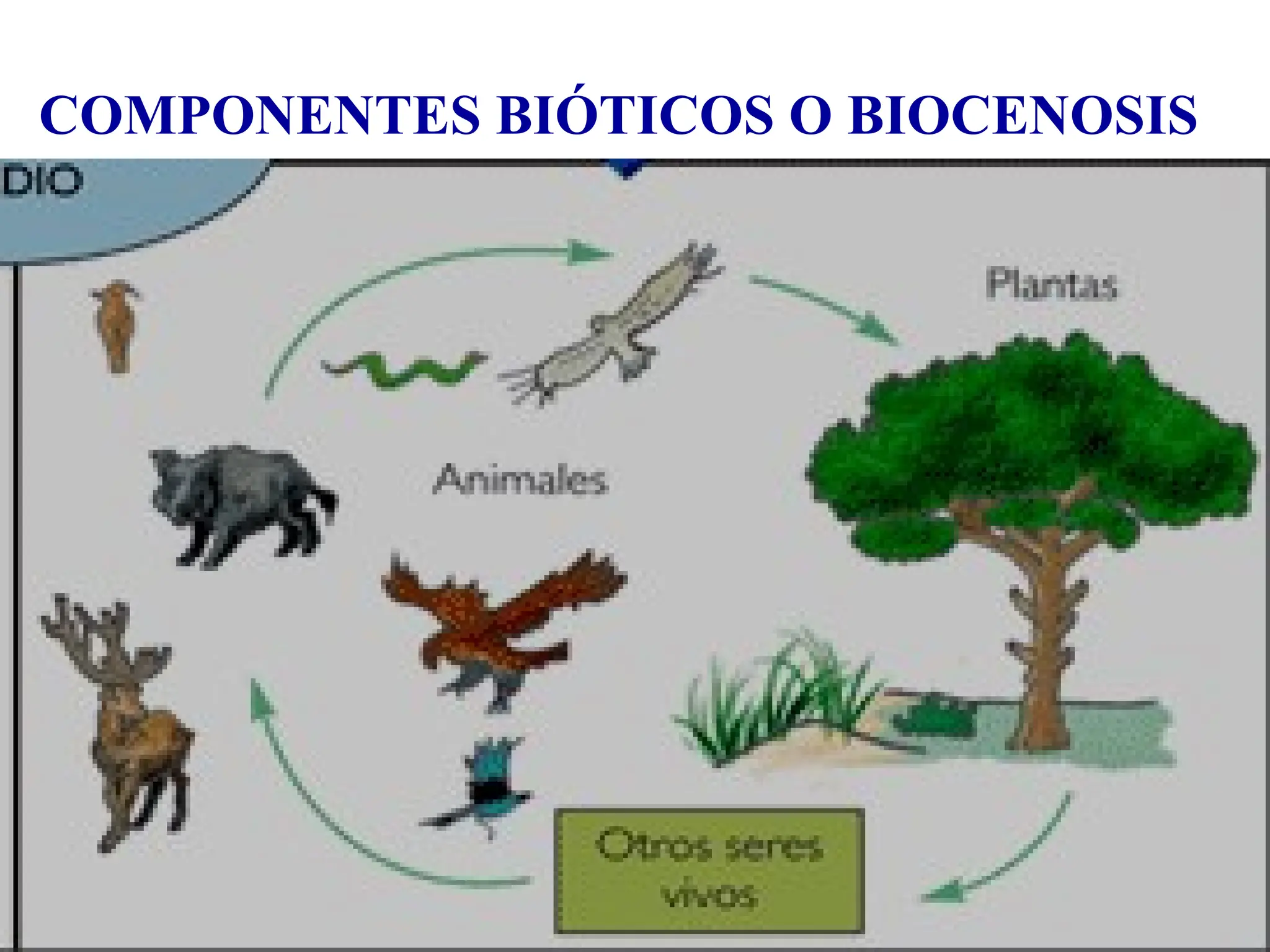 Ecosistemas y sus componentes basicos.ppt